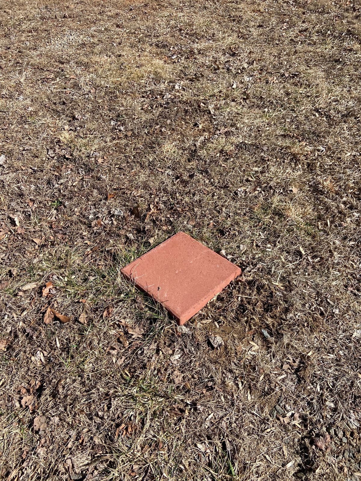 Cider Lab Sumerduck - Sumerduck, Virginia | UDisc Disc Golf Course ...