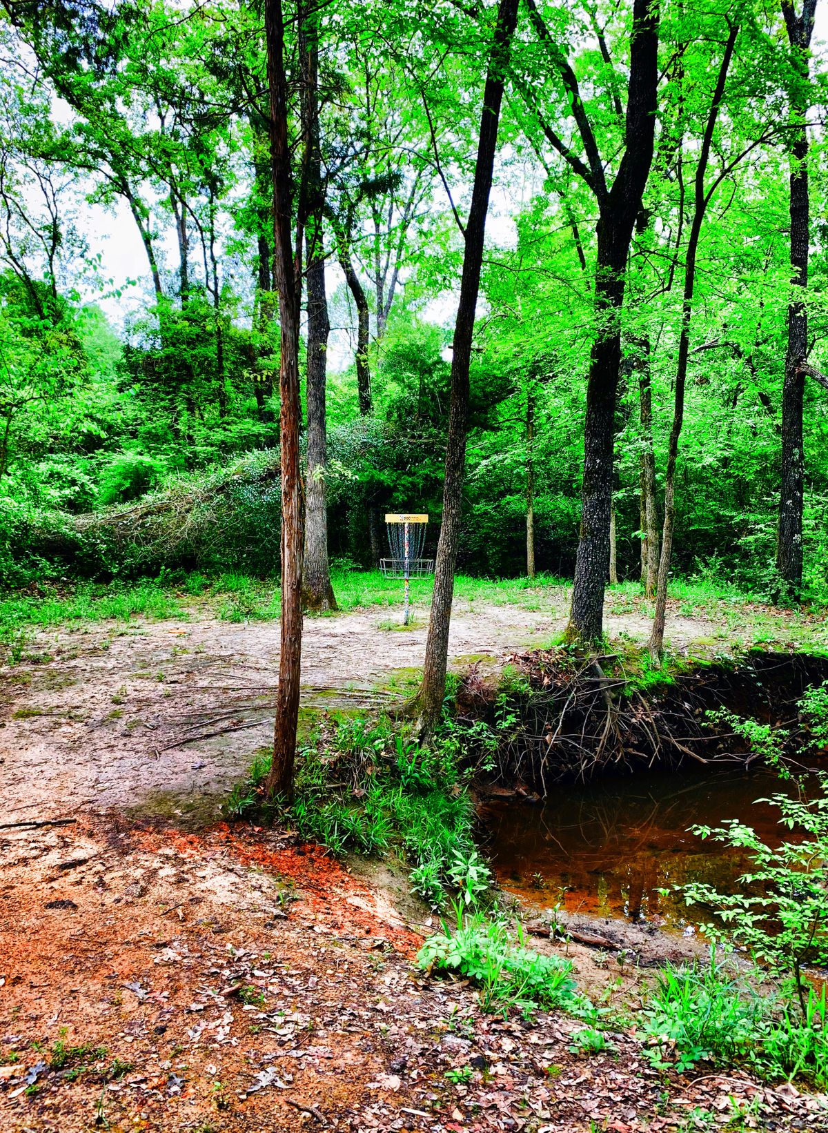 Cherry Creek Park - Canton, Texas | UDisc Disc Golf Course Directory