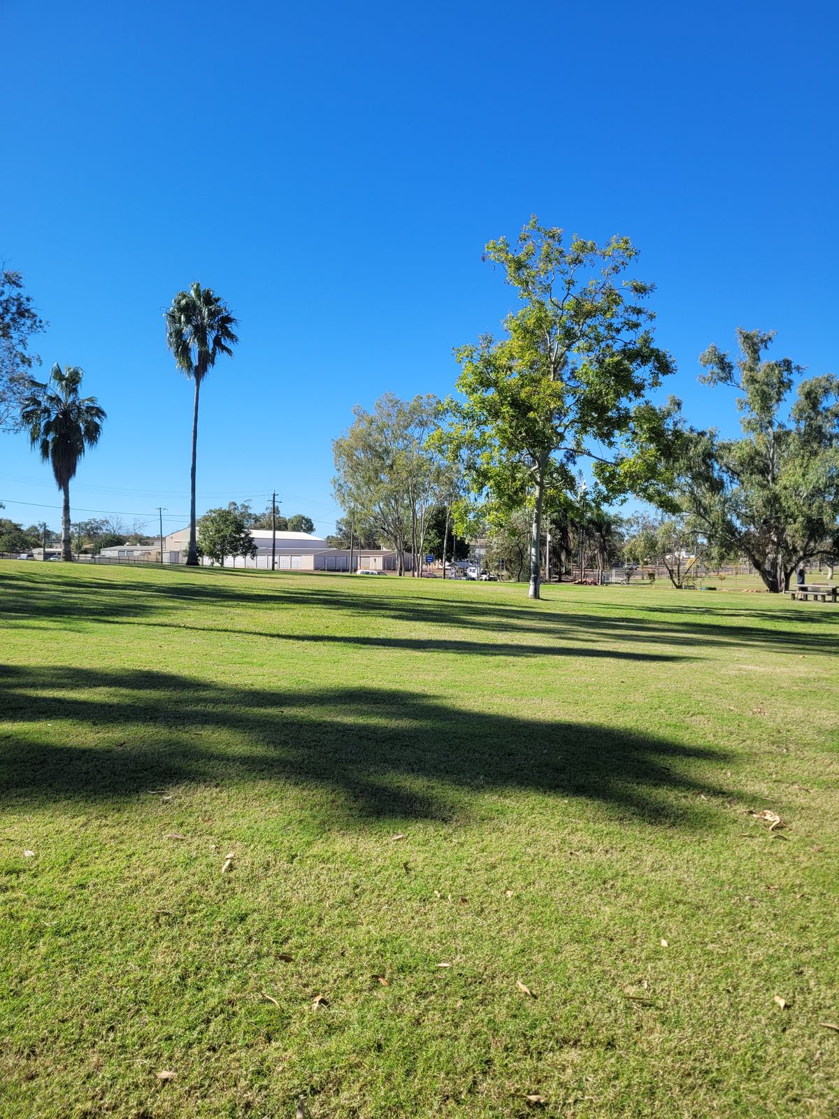 Charleville Park - Charleville, Australia | UDisc Disc Golf Course ...