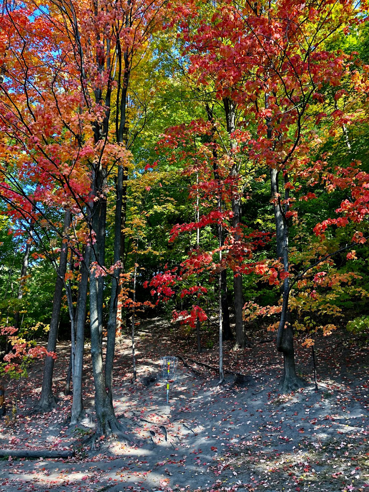 E.T. Seton Park Disc Golf Course - Toronto, ON, Canada | UDisc Disc ...