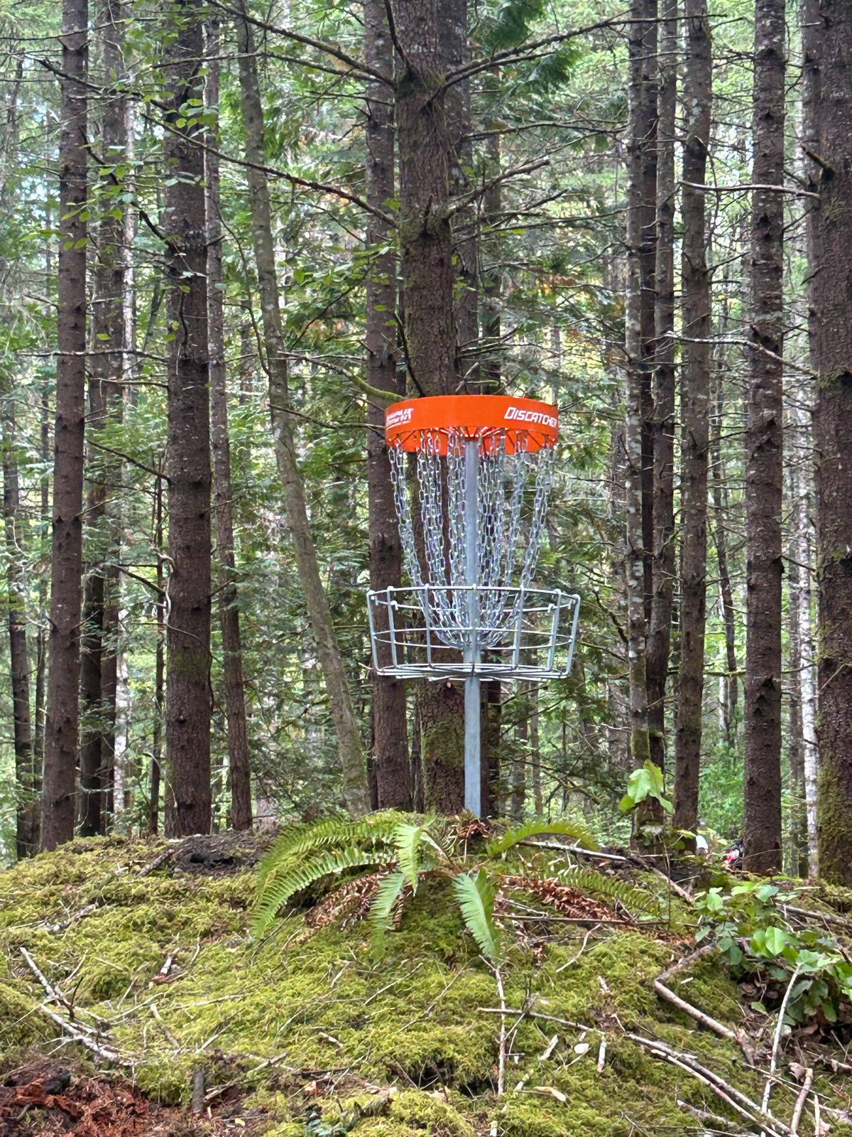 Fuller Lake Disc Golf Course - Chemainus, BC, Canada | UDisc Disc Golf ...