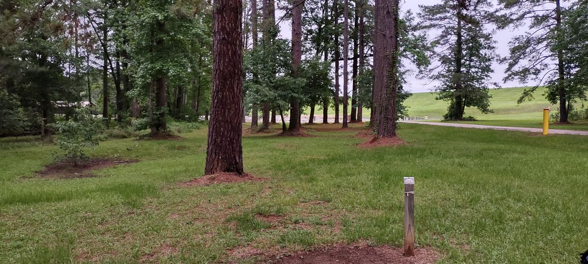 Bodcau Bayou Dam - Bellevue, Louisiana | UDisc Disc Golf Course Directory