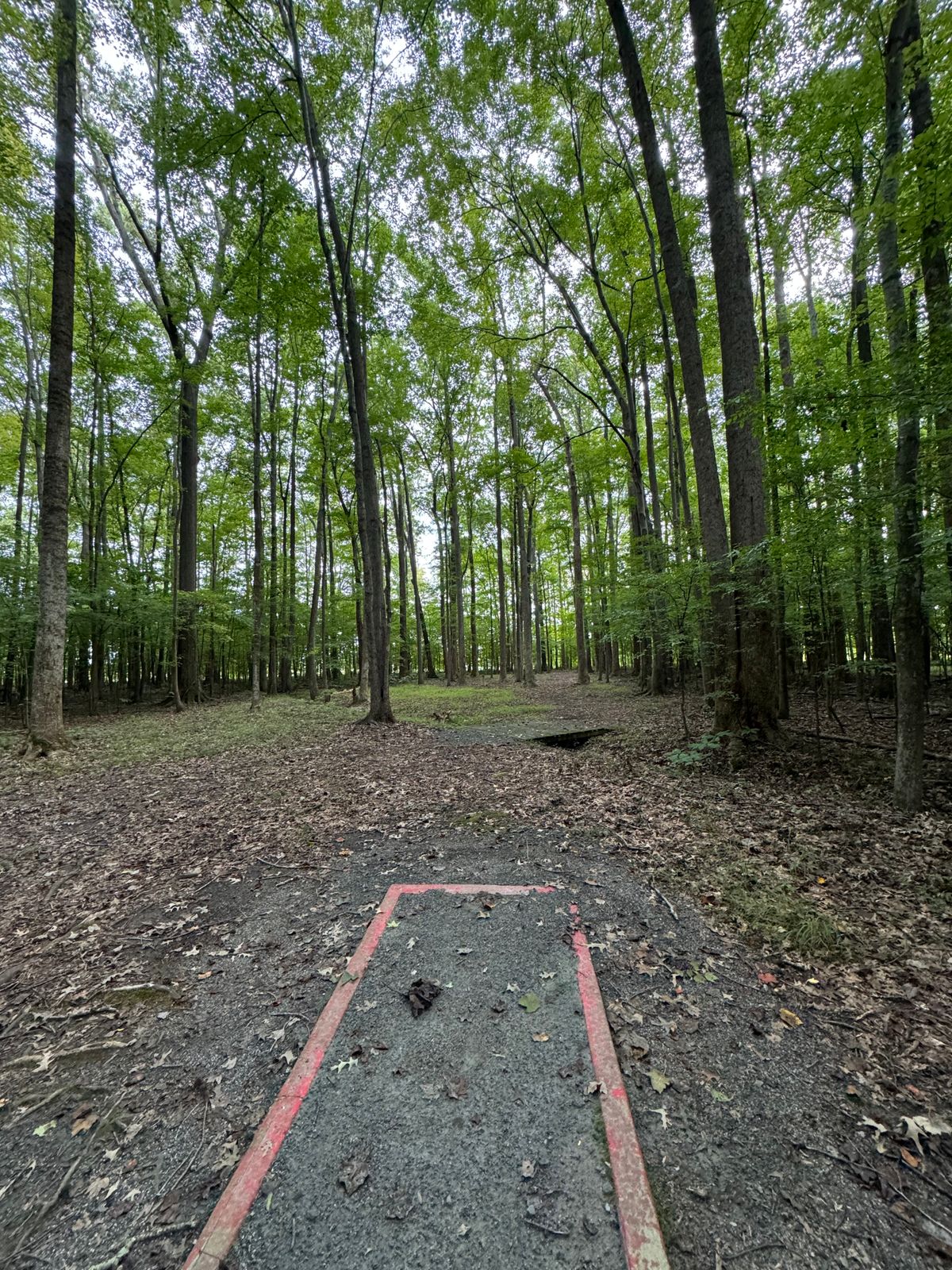 Northwest River Park - Chesapeake, Virginia | UDisc Disc Golf Course ...
