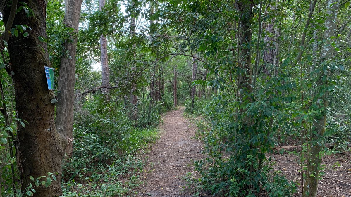 Turkey Lake Park Nature Trail