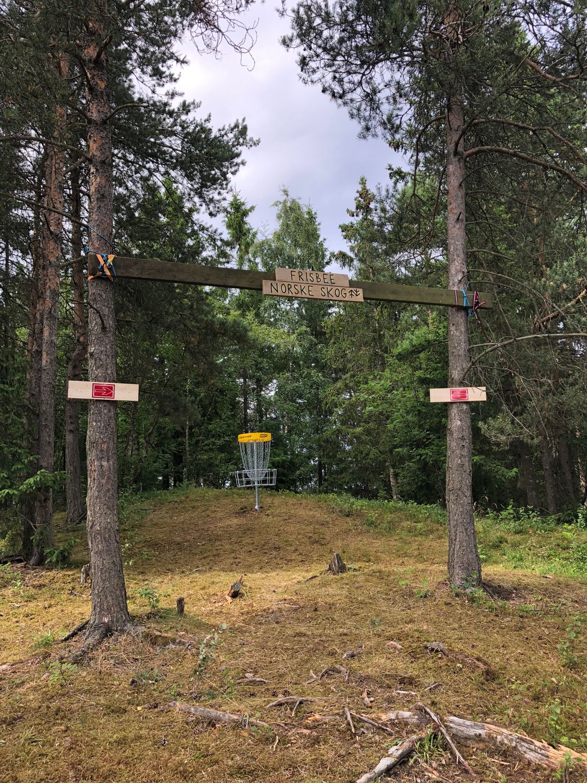 Norske Skog - Skogn, Norway | UDisc Disc Golf Course Directory