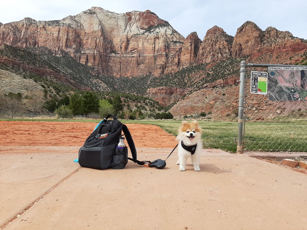 Springdale - Springdale, Utah | UDisc Disc Golf Course Directory