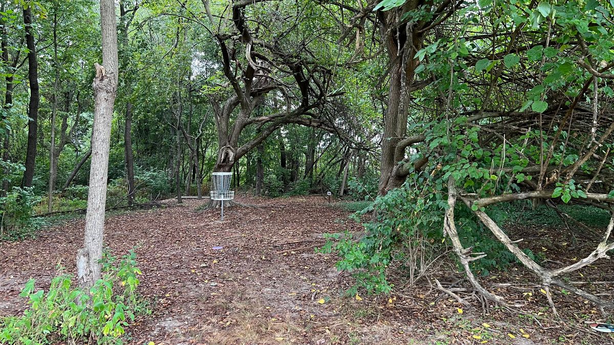 JBeast Junior - Springdale, AR | UDisc Disc Golf Course Directory