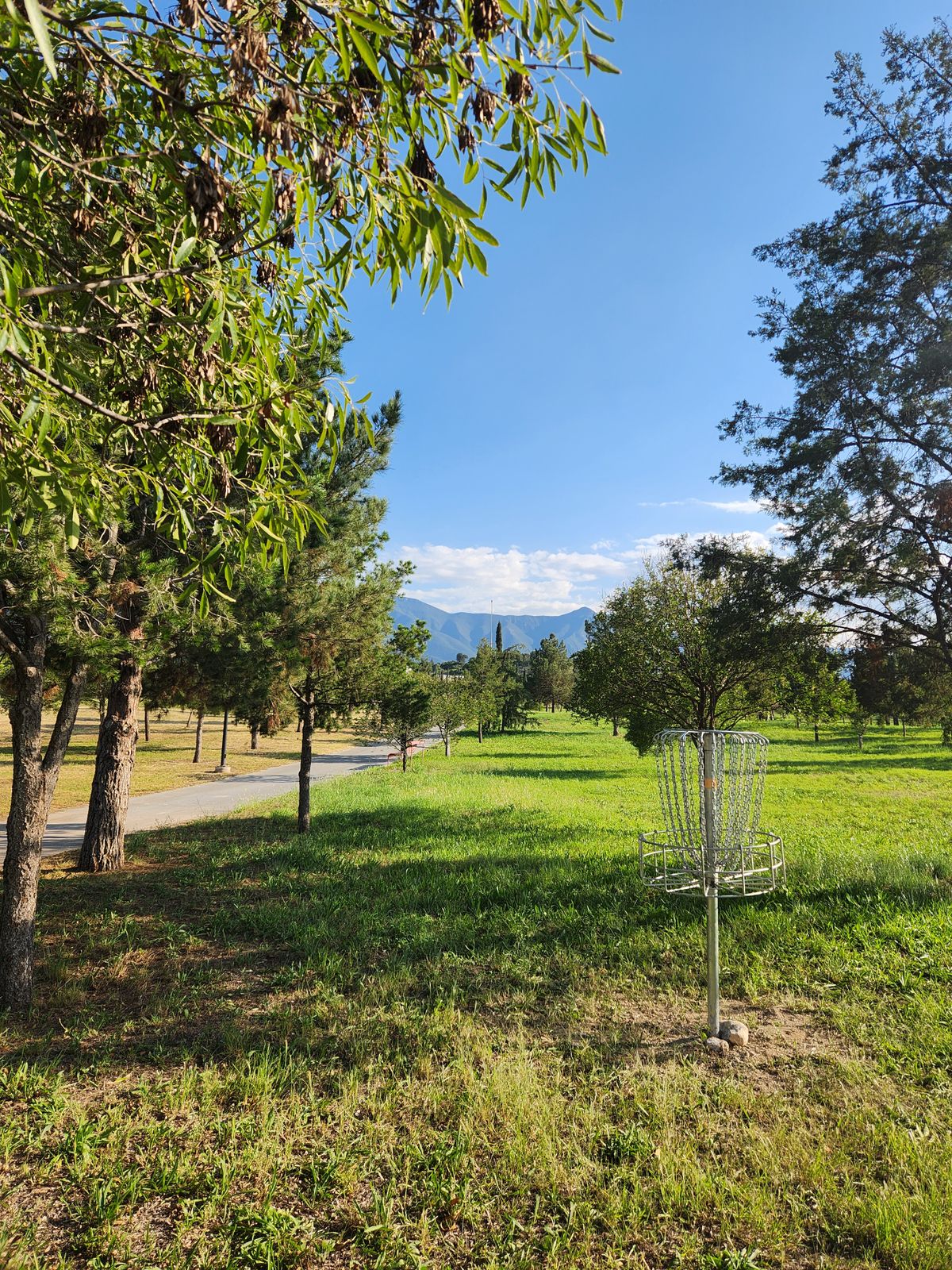 Saltillo Disc Golf - Your Guide to Disc Golf in Saltillo, Mexico | UDisc