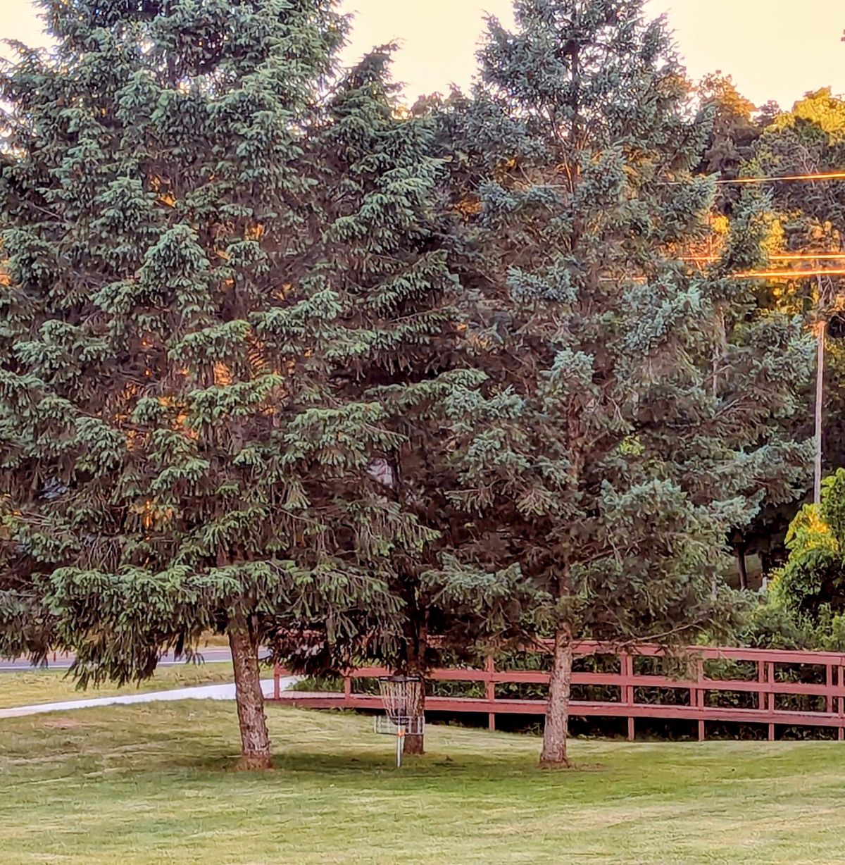 Dorr Township Park - Dorr, Michigan | UDisc Disc Golf Course Directory