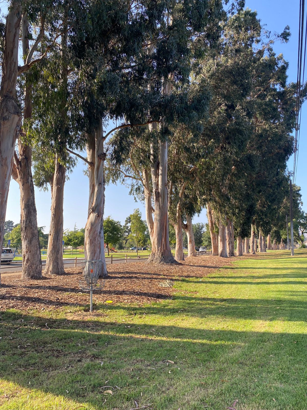 Preisker Park DGC - Santa Maria, California | UDisc Disc Golf Course ...