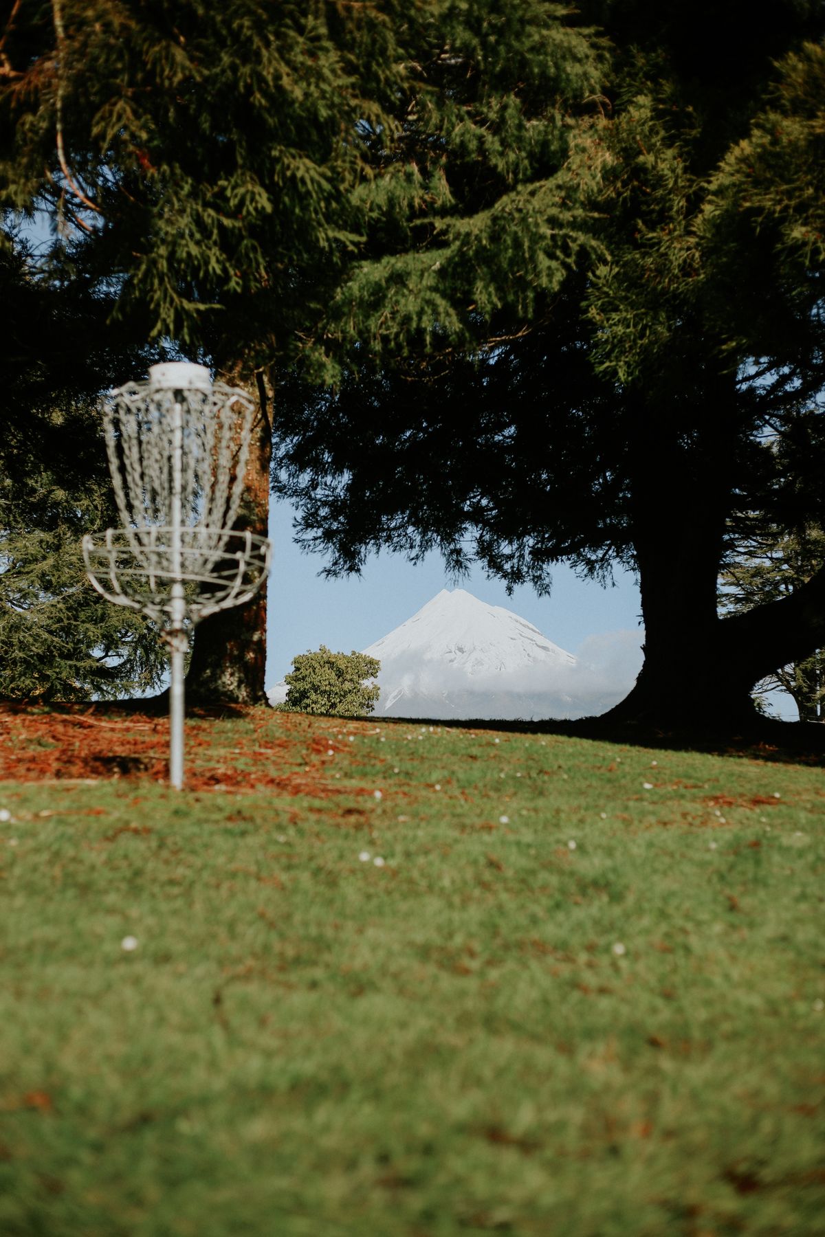New Zealand Disc Golf - Your Guide to Disc Golf in New Zealand | UDisc