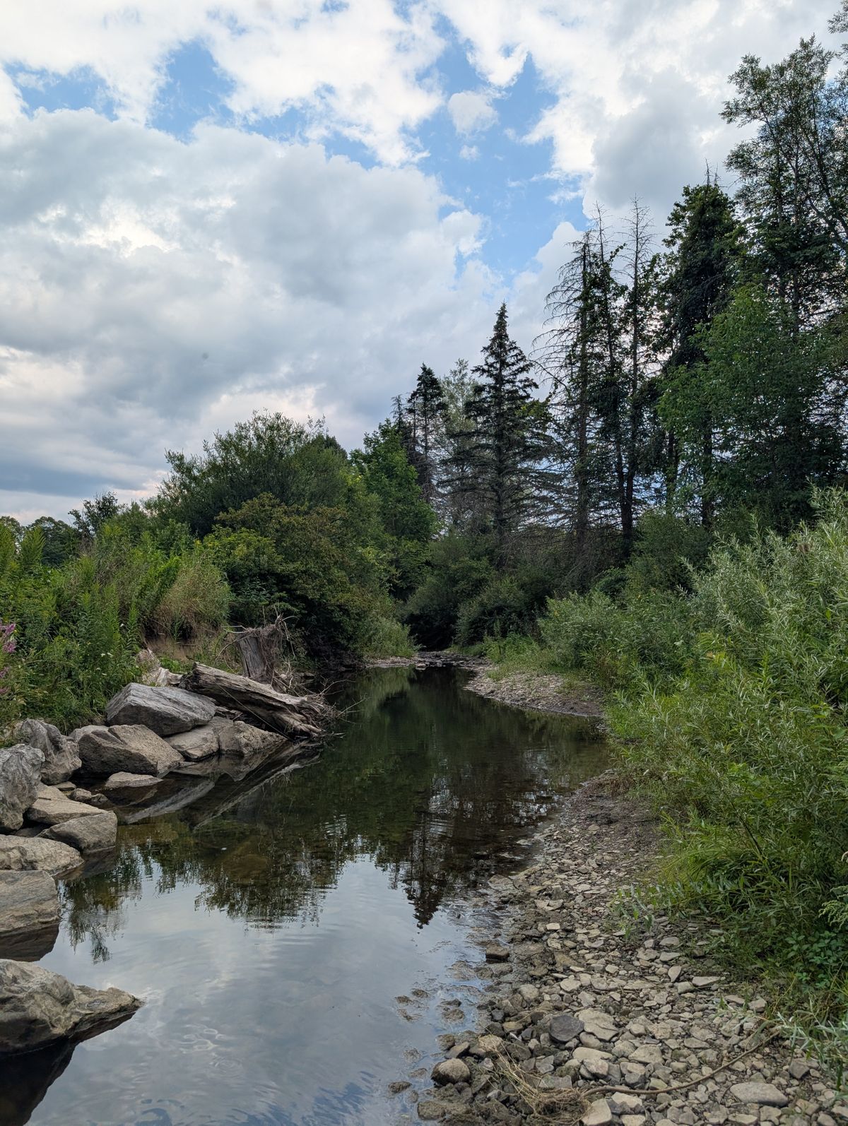 Creekside DGC - Jamestown, NY | UDisc Disc Golf Course Directory