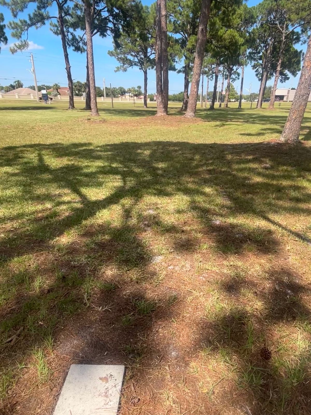 Cross Bridge Pitch and Putt - Rockledge, Florida | UDisc Disc Golf ...