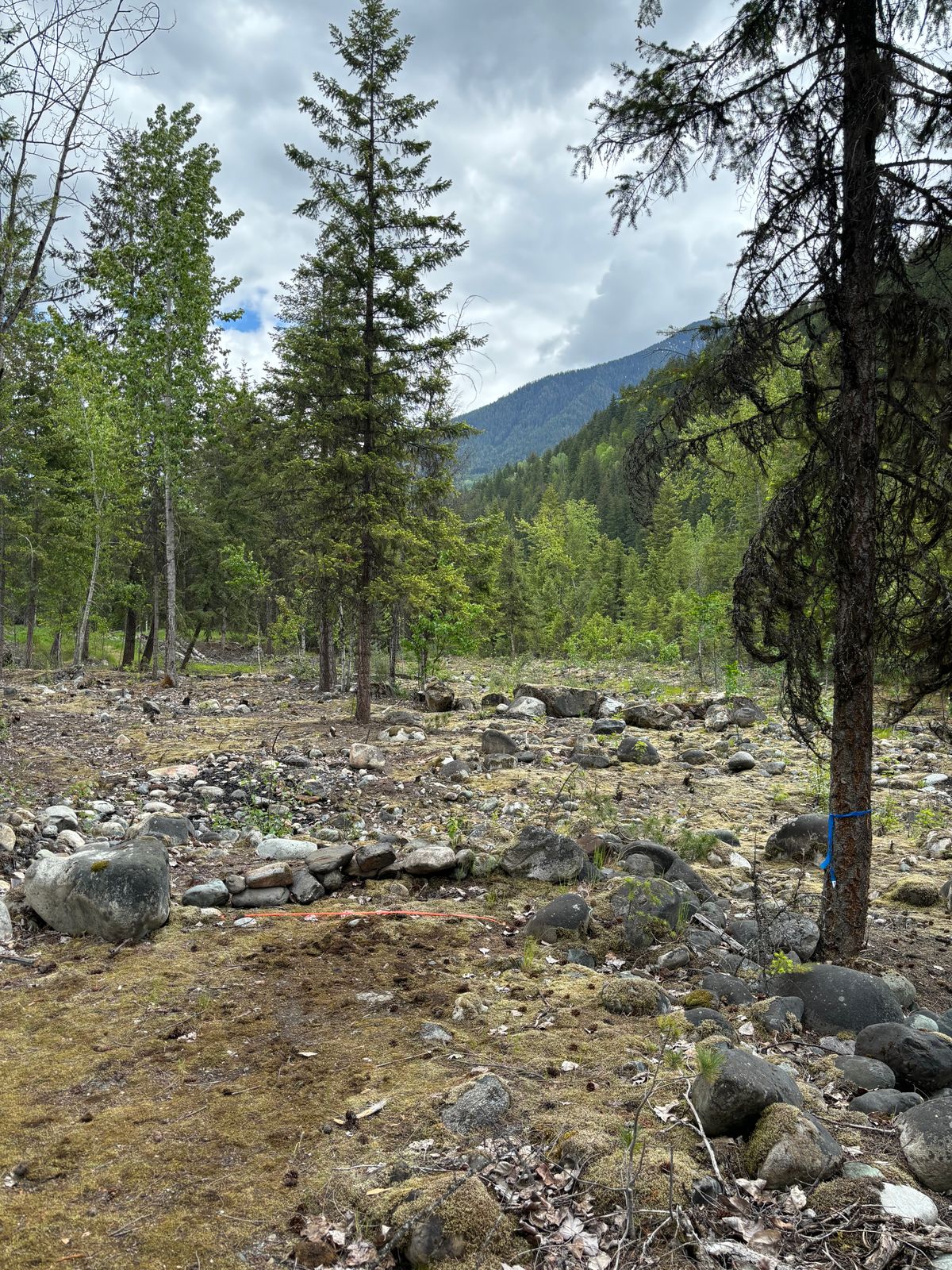 Founders - New Denver, BC, Canada | UDisc Disc Golf Course Directory