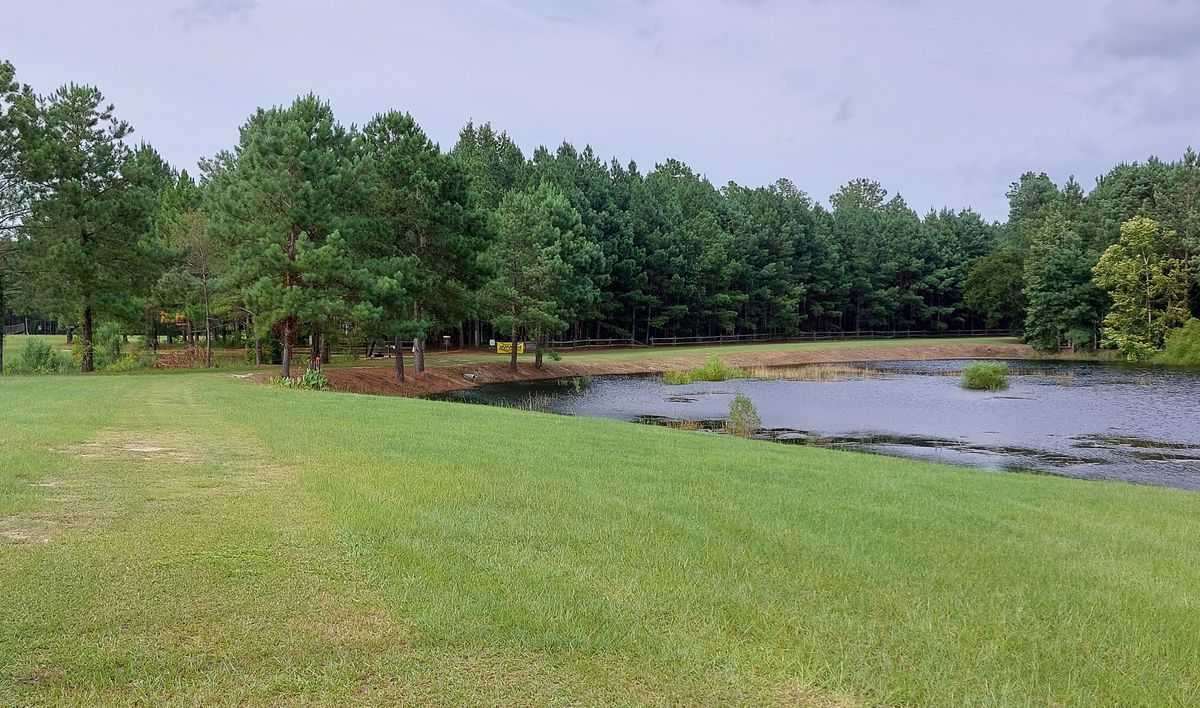 Buck Branch DGC - Bowman, SC | UDisc Disc Golf Course Directory