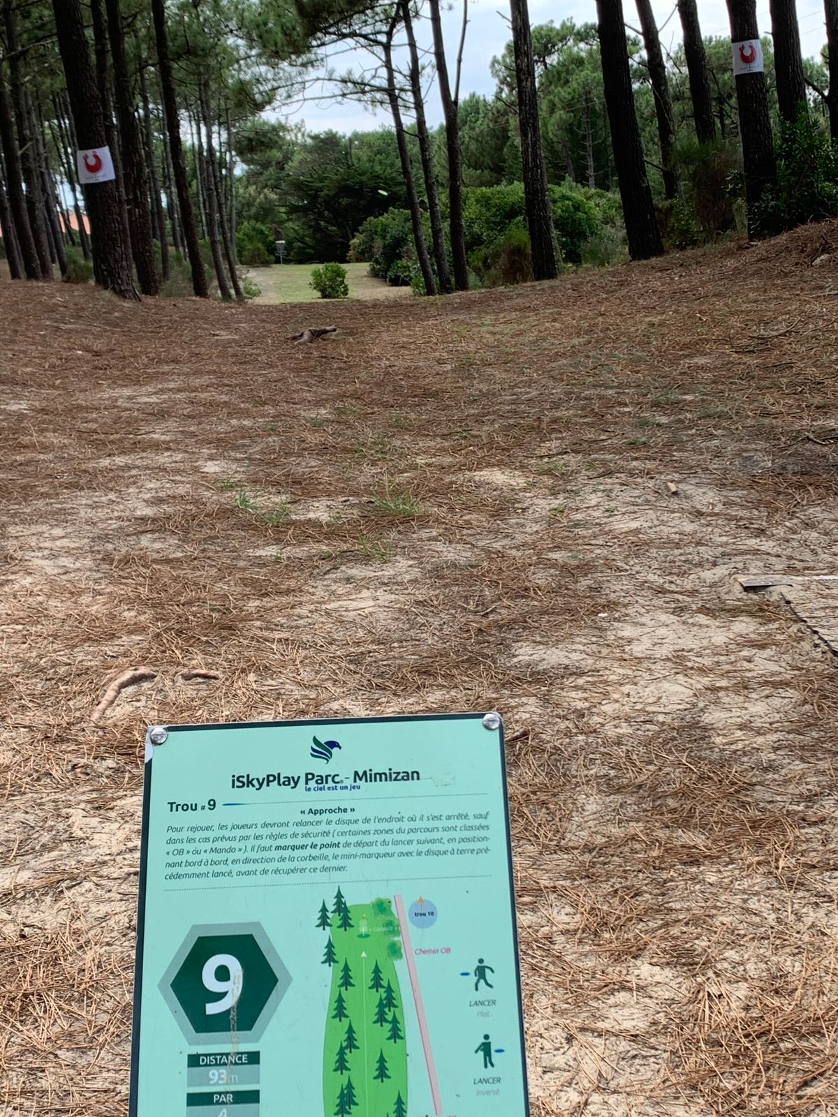 Disc Golf Ratings Explained At Nancy Townsend Blog Disc Golf Ratings Explained At Nancy Townsend Blog