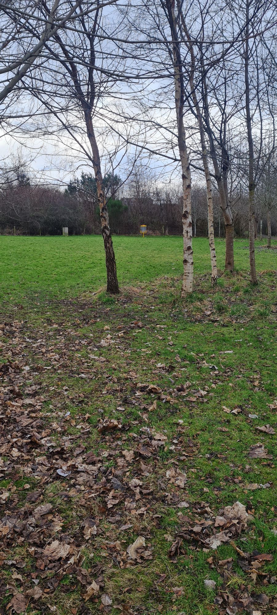 Inshes park - Inverness, United Kingdom | UDisc Disc Golf Course Directory