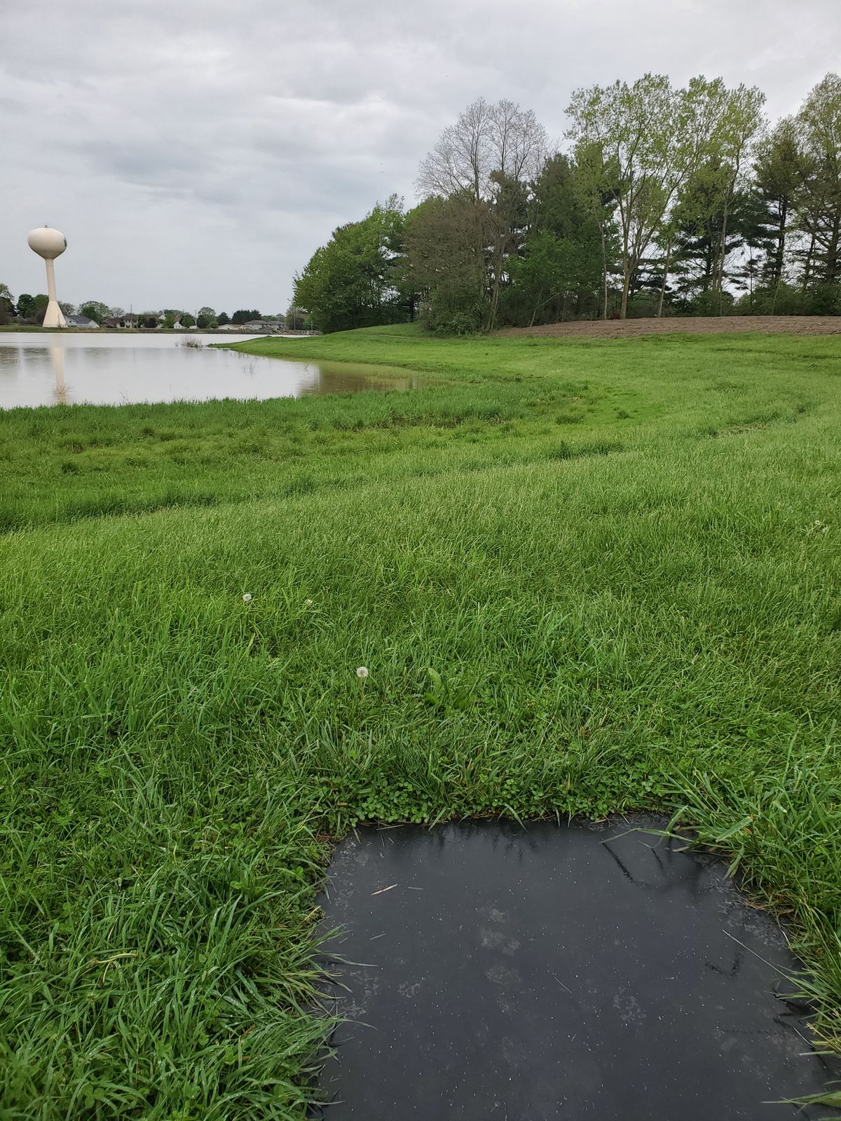 Great Blue Heron - Norwalk, OH | UDisc Disc Golf Course Directory