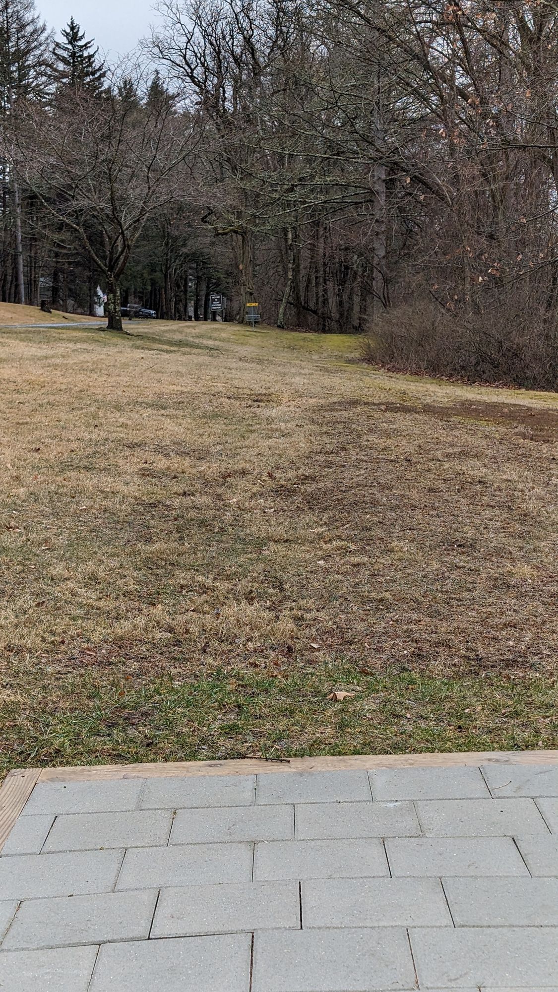 Taconic State Park Rudd Pond - Millerton, NY | UDisc Disc Golf Course ...