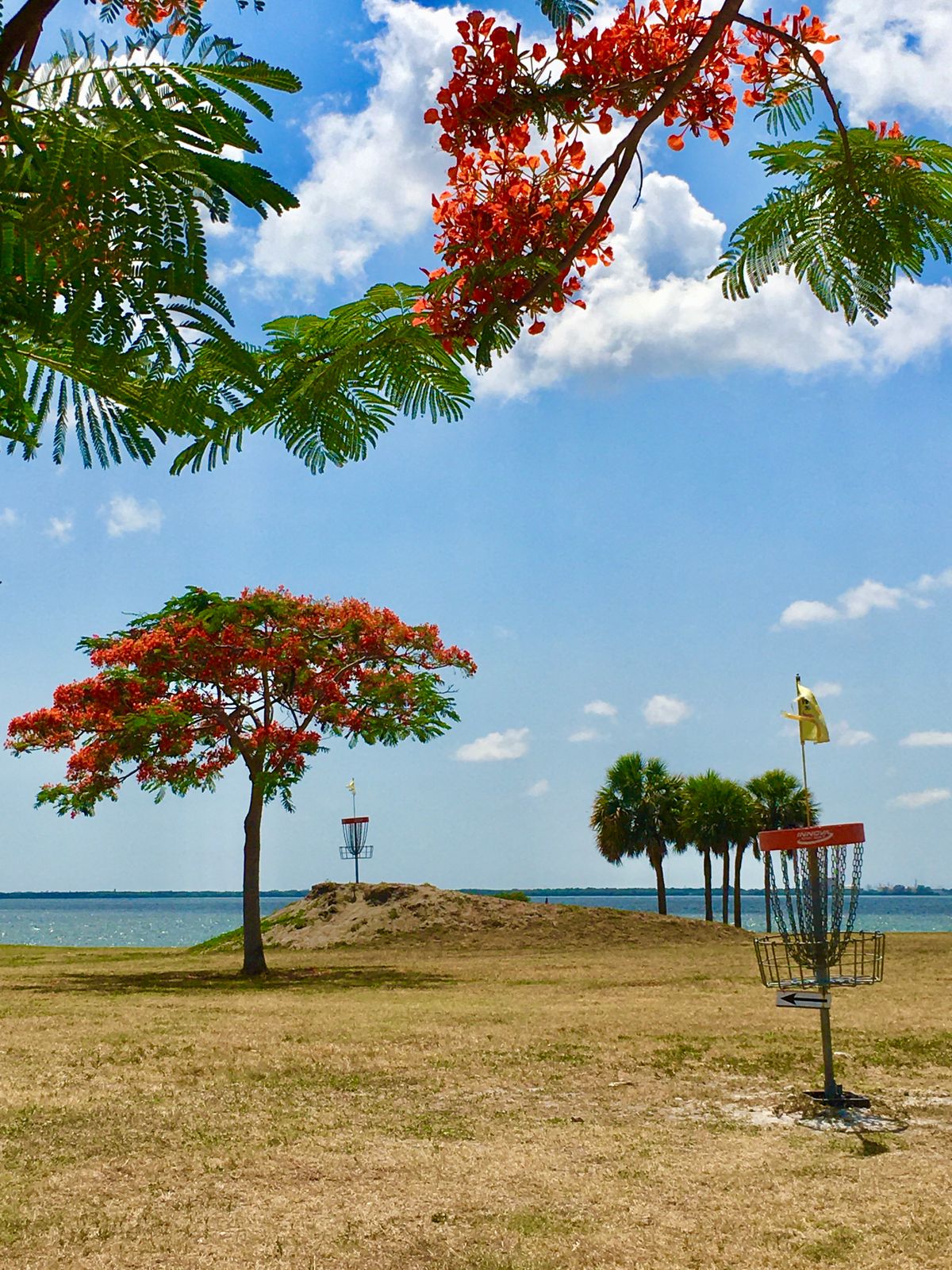 Tampa Disc Golf - Your Guide to Disc Golf in Tampa, Florida | UDisc
