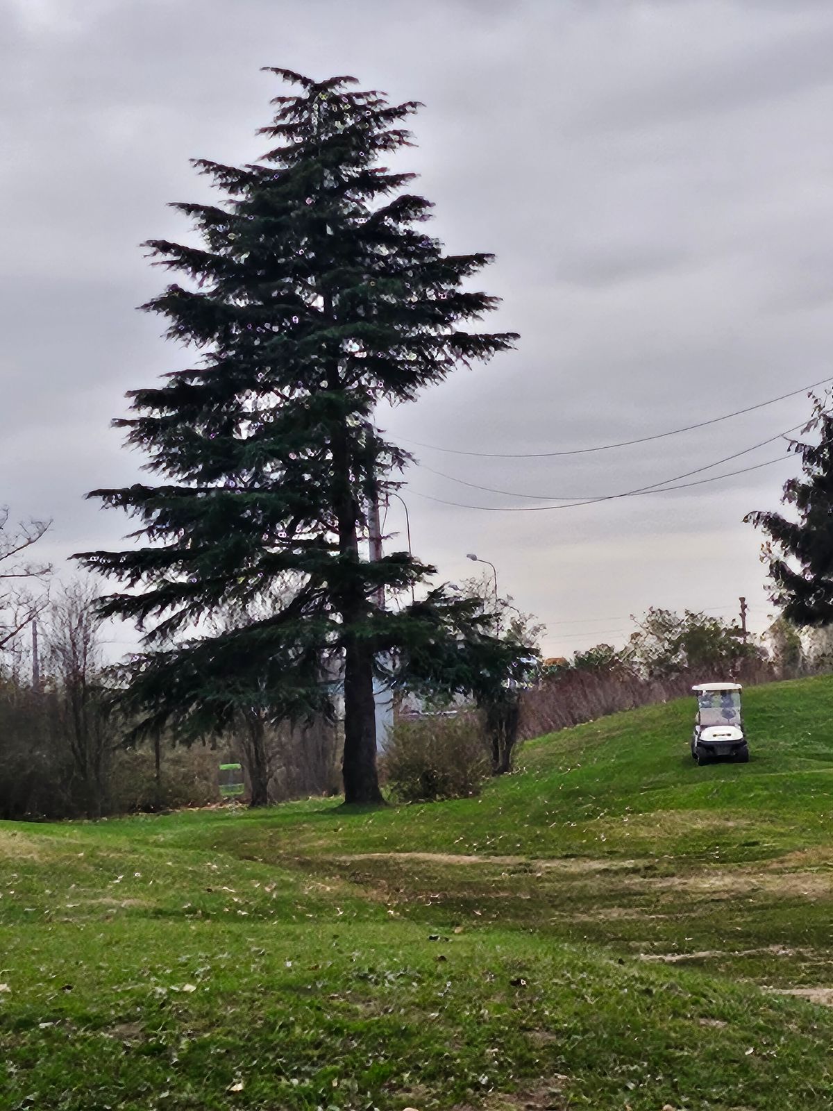 Lainate Green Club - Ventitre Disc Golf - Lainate, Italy | UDisc Disc ...