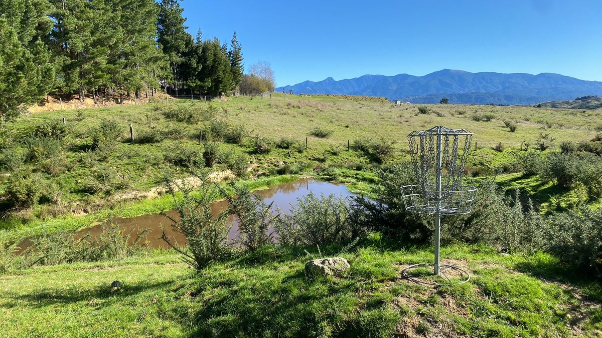 Wayne’s World - Upper Moutere, New Zealand | UDisc Disc Golf Course ...
