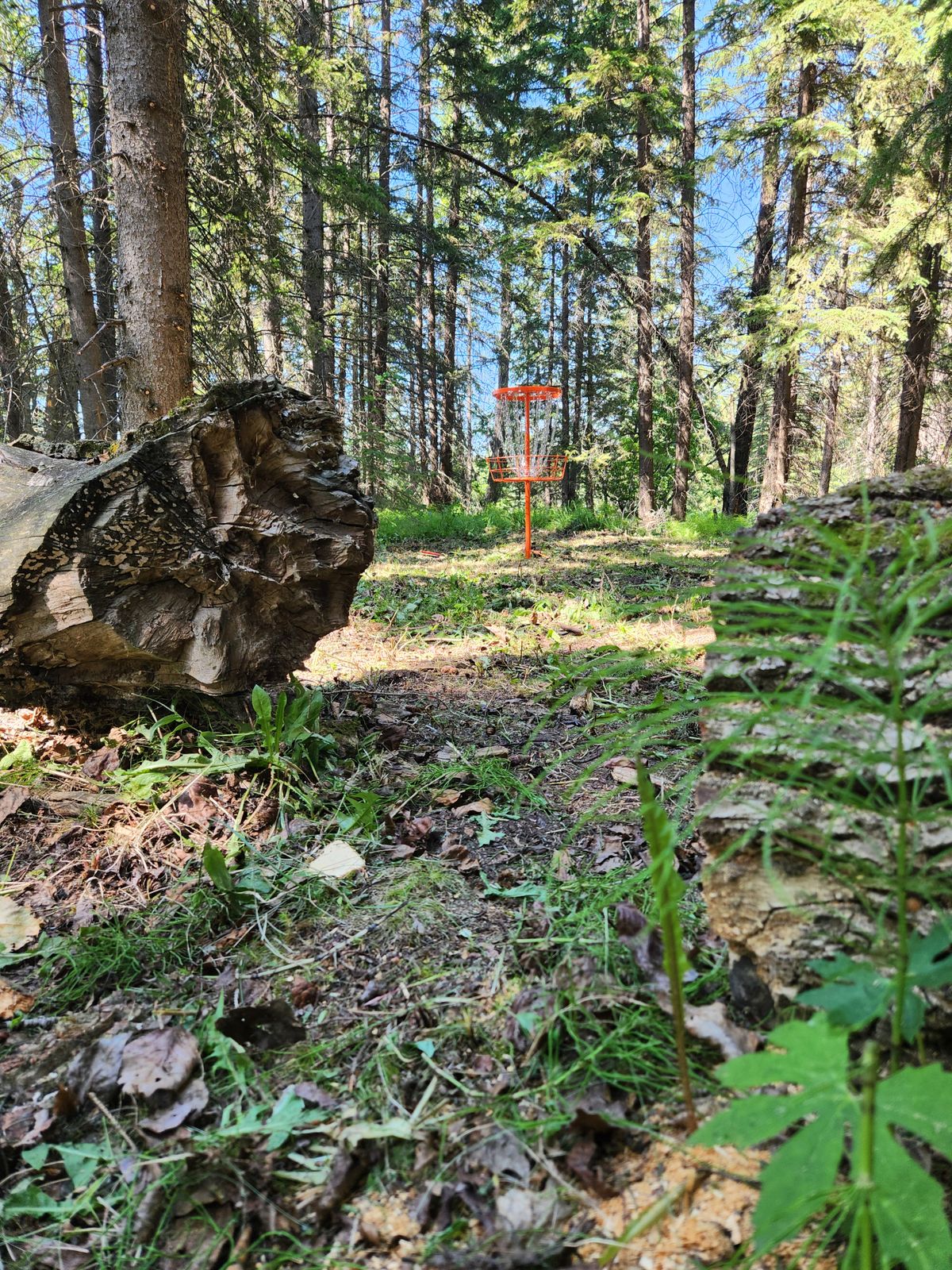 Foothills Camp and Retreat Centre - Bowden, AB, Canada | UDisc Disc ...