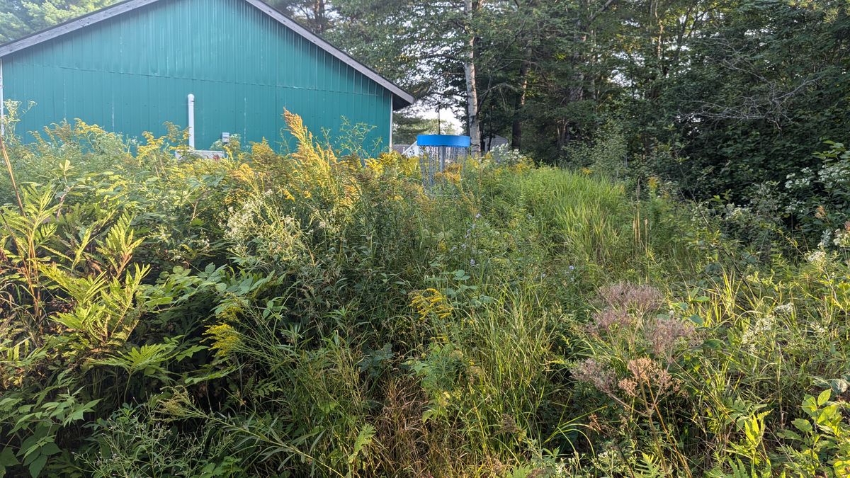 Welsford Community DGC - Welsford, NB, Canada | UDisc Disc Golf Course ...