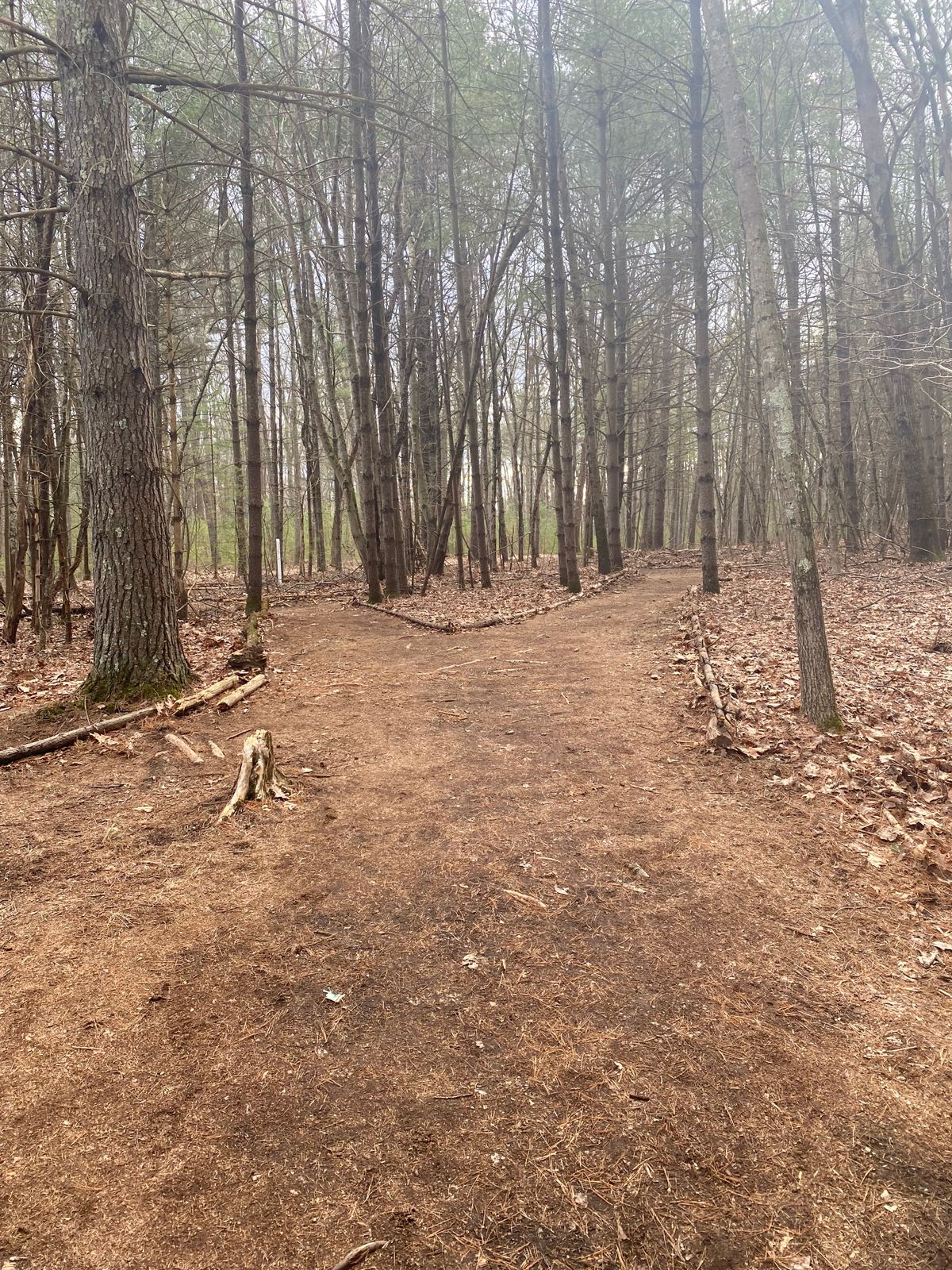 Ruel Field Disc Golf Course - Oxford, Massachusetts | UDisc Disc Golf ...