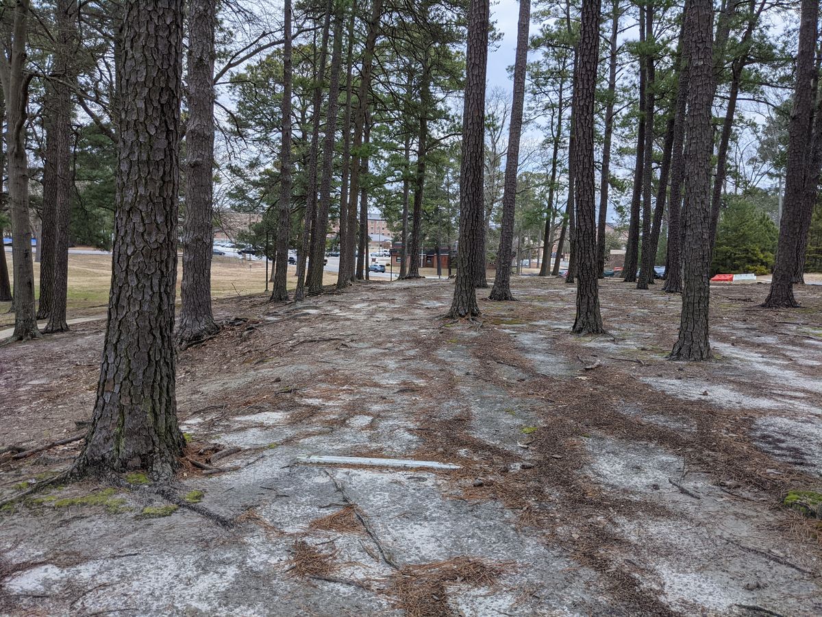 Fort Lee DGC "Rigger's Ridge" - Fort Lee, Virginia | UDisc Disc Golf ...