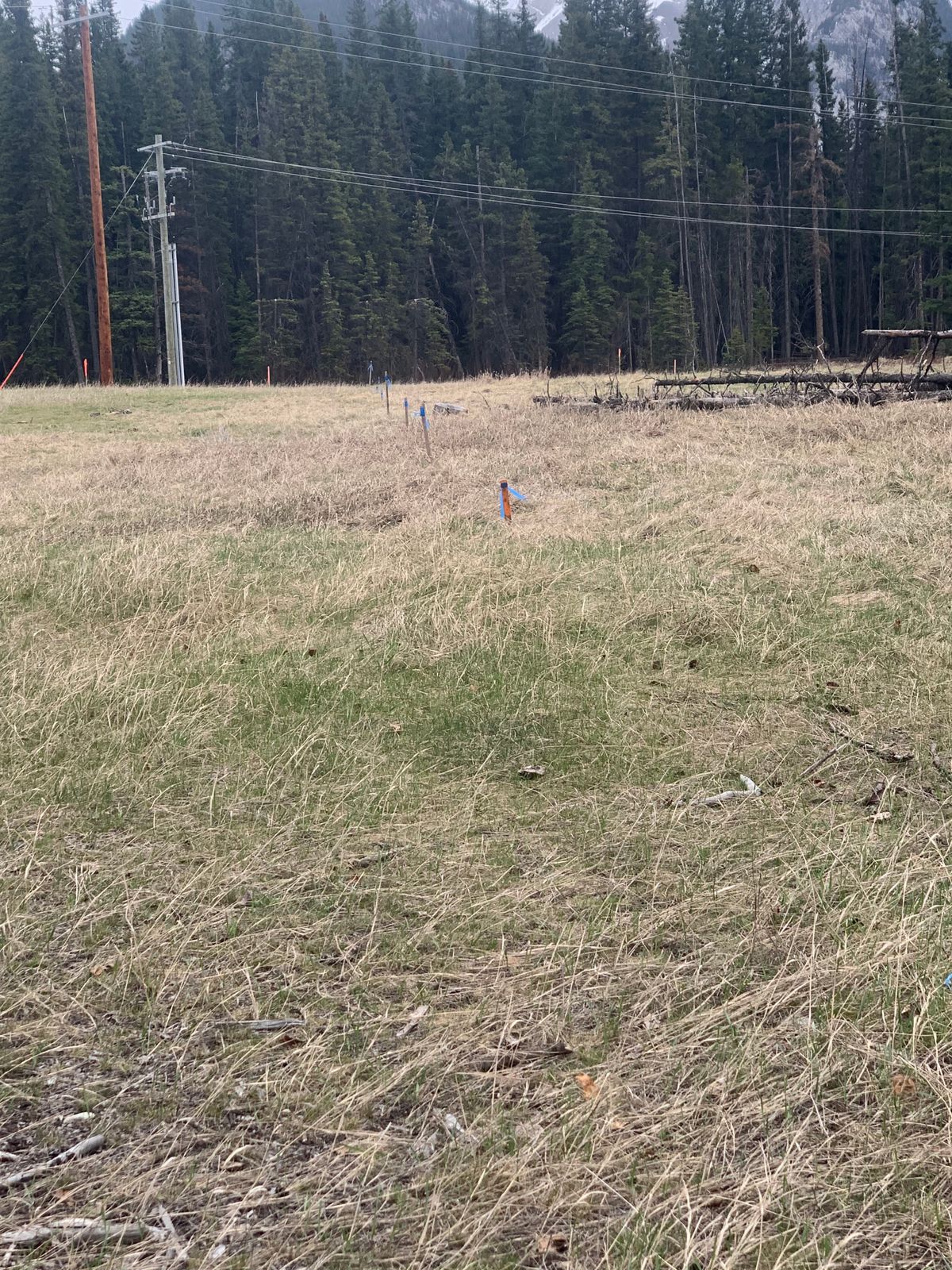 The Fendlans 9 - Banff, AB, Canada | UDisc Disc Golf Course Directory