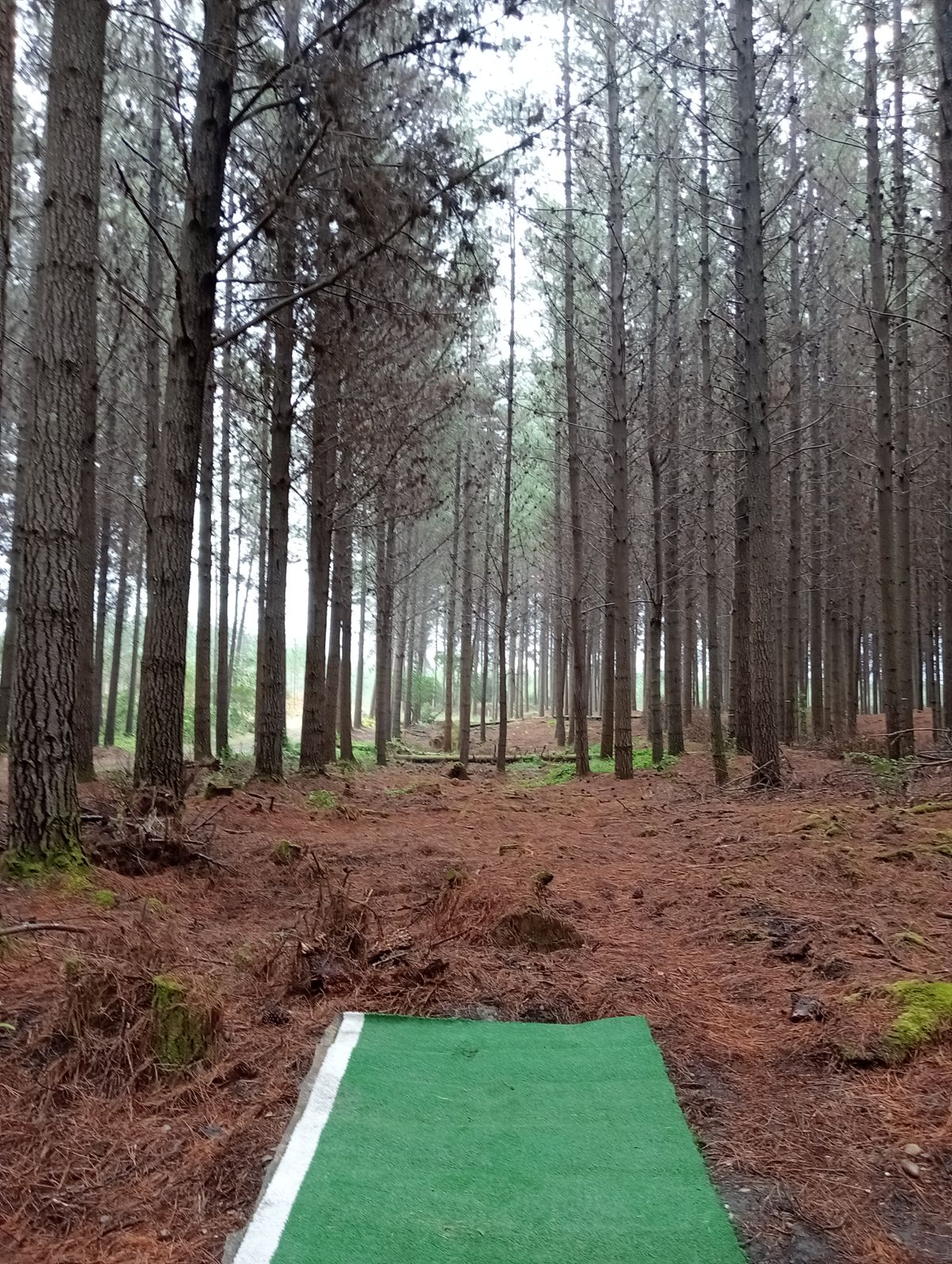 Moturoa Disc Golf Park - Rabbit Island, New Zealand | UDisc Disc Golf ...