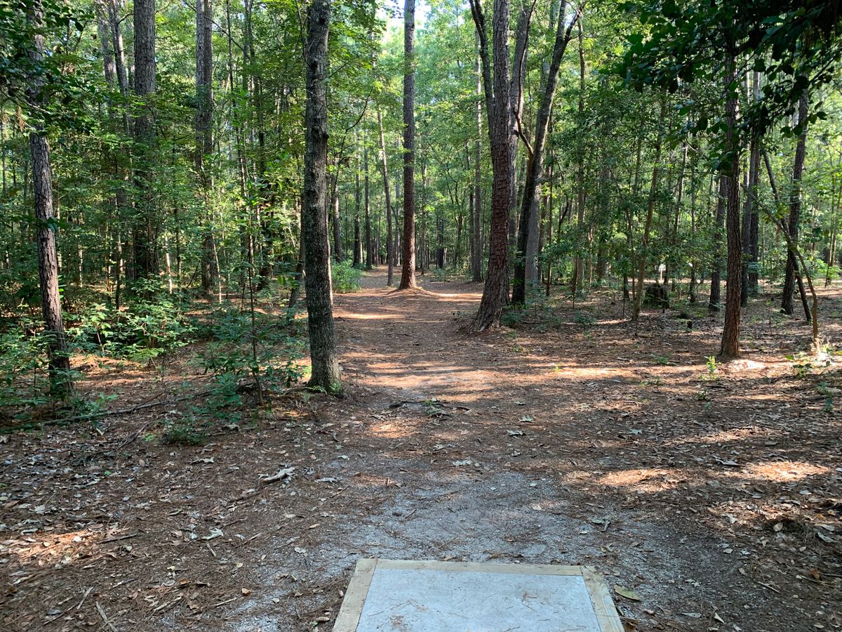 Wannamaker County Park - North Charleston, South Carolina | UDisc Disc ...