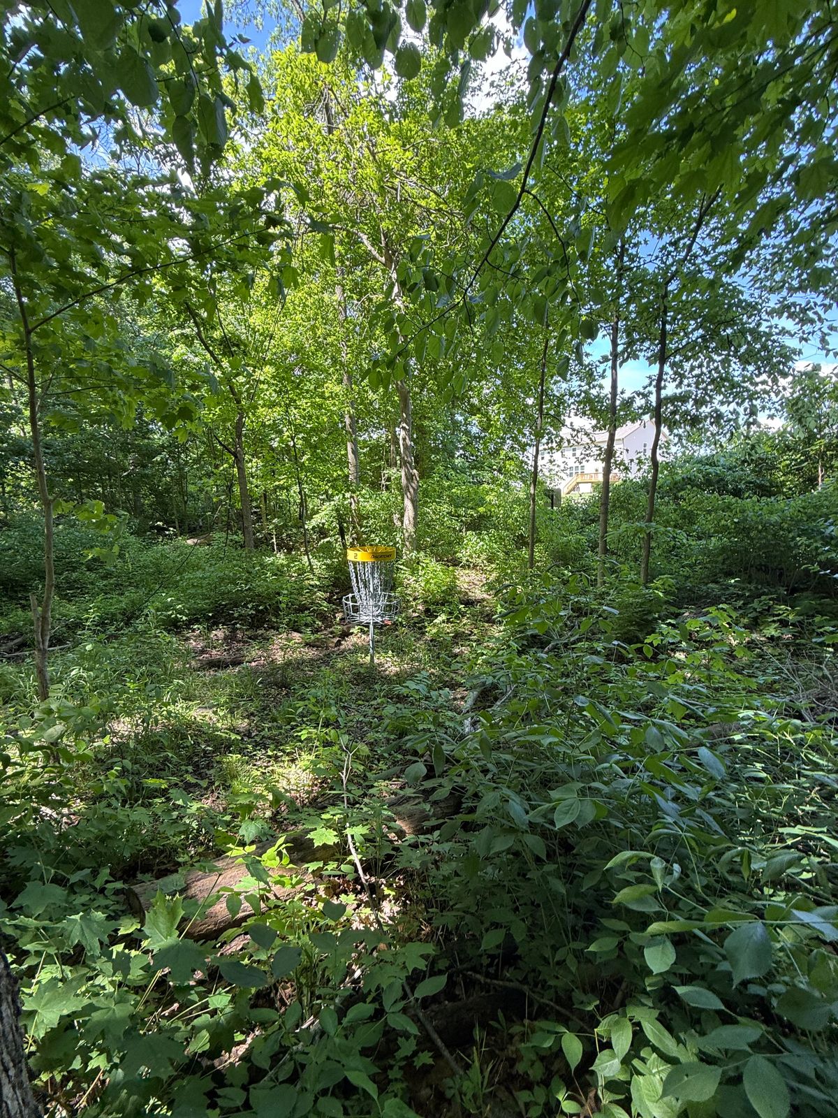 Faith Baptist Disc Golf Course - Danville, Indiana | UDisc Disc Golf ...
