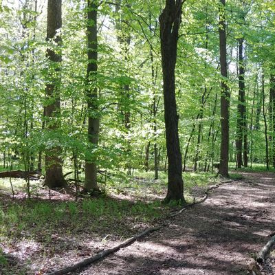 Calvert Regional Park DGC - North East, MD | UDisc Disc Golf Course ...