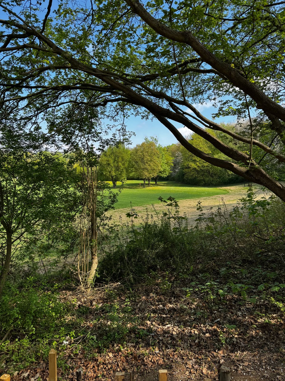 WOD DiscGolf Parcours Uni Regensburg DGO - Regensburg, Germany | UDisc ...