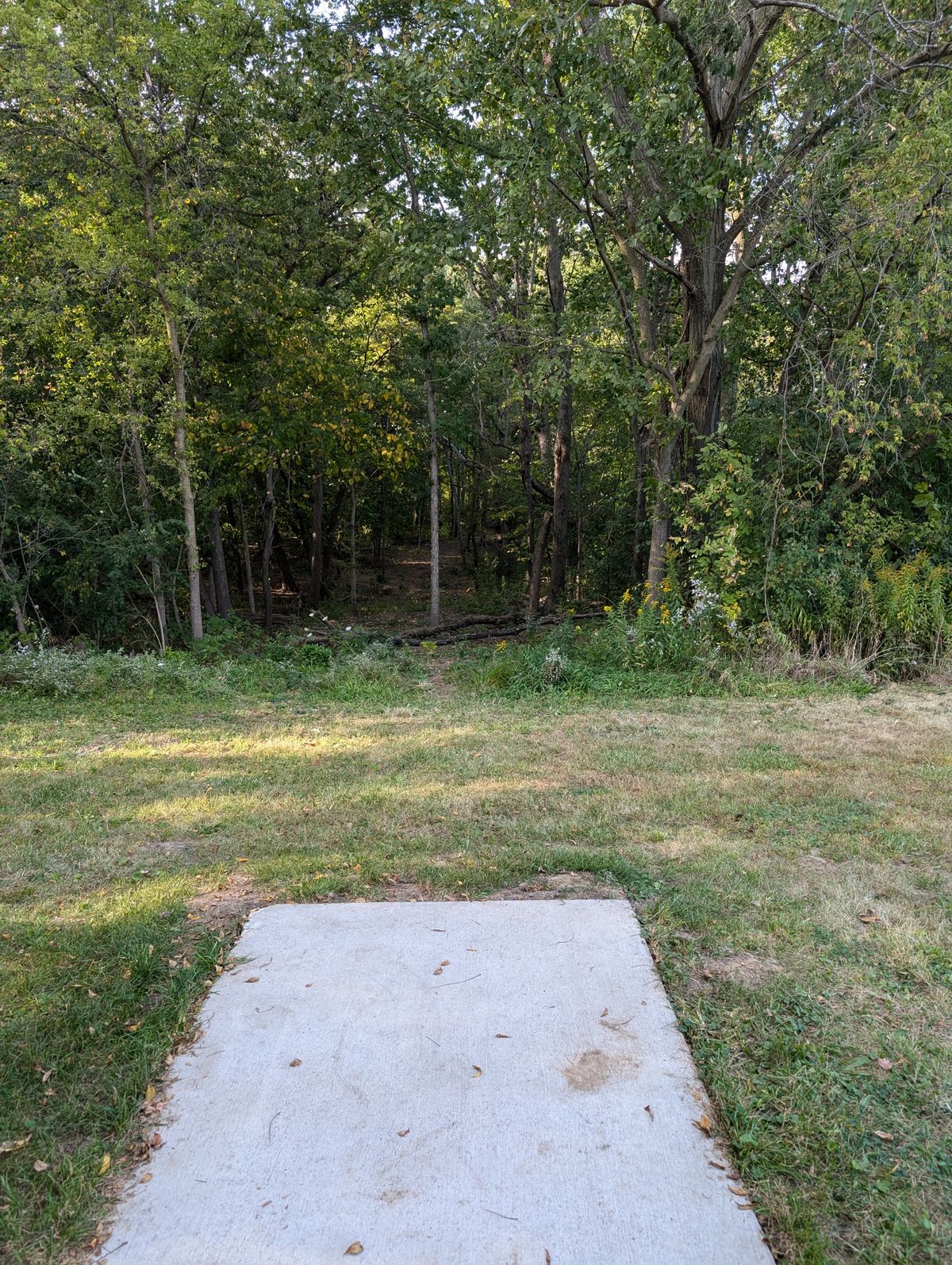 Salem Community Disc Golf Park - Salem, WI | UDisc Disc Golf Course ...