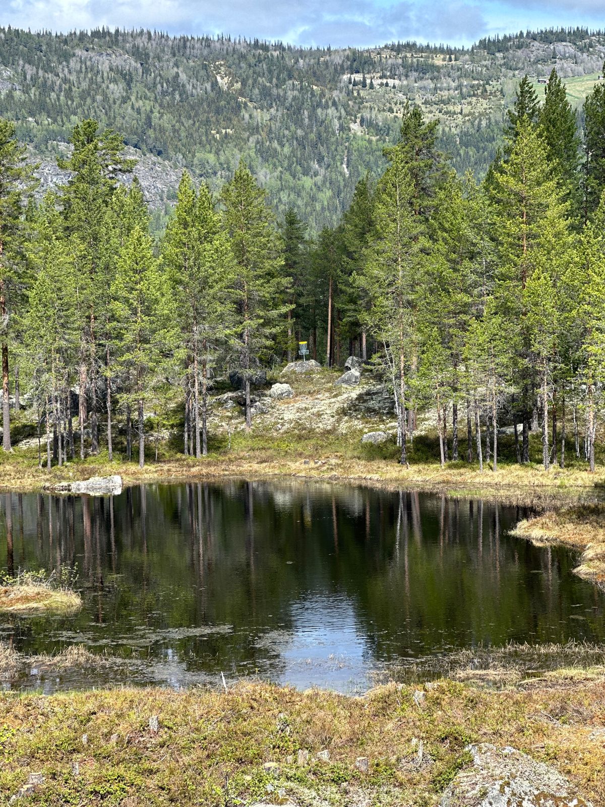 Hallingkast Frisbeegolfpark - Ål, Norway | UDisc Disc Golf Course Directory