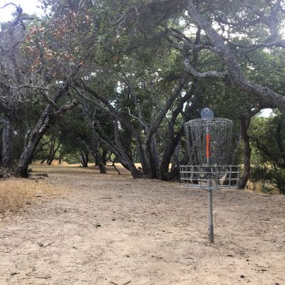 DeLaveaga Disc Golf Course - Santa Cruz, CA | UDisc Disc Golf Course ...