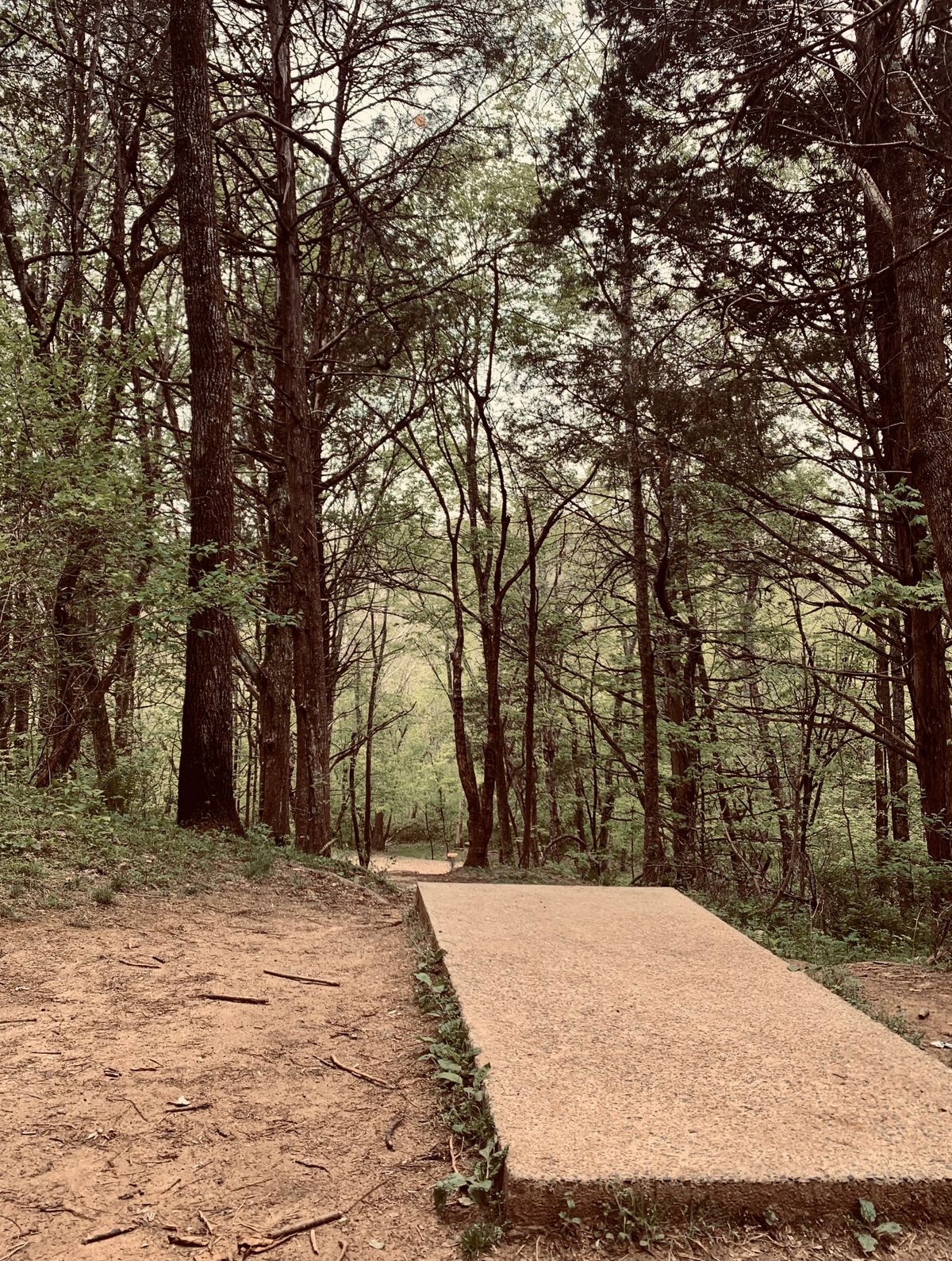 Warriors Path State Park - Colonial Heights, Tennessee | UDisc Disc ...