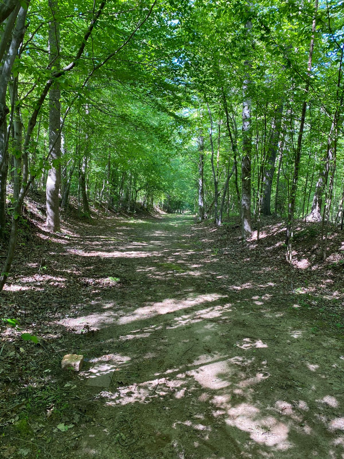 Tar River - Franklinton, North Carolina | UDisc Disc Golf Course Directory