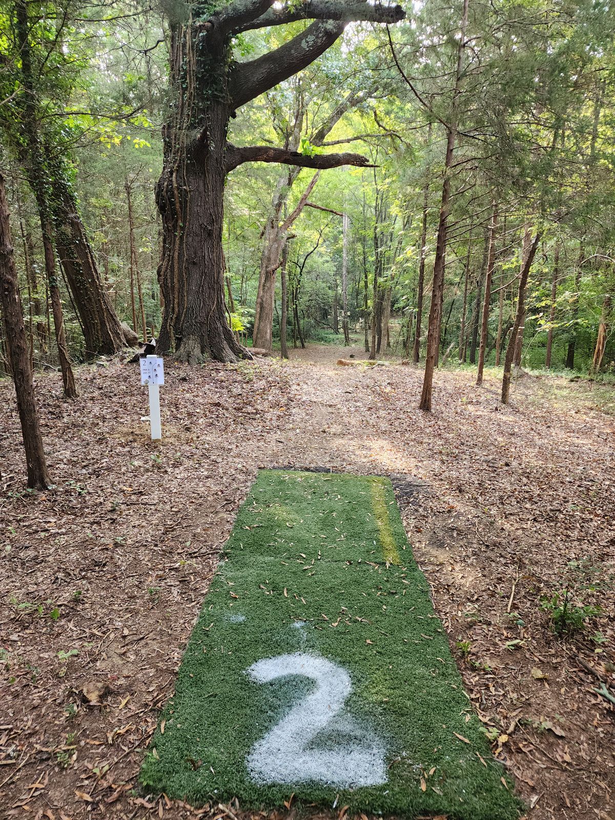 Nevin Daydream (Short Course) - Charlotte, North Carolina | UDisc Disc ...