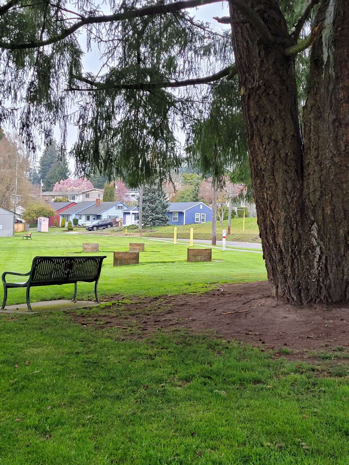 Fircrest Recreation Center Disc Golf - Fircrest, WA | UDisc Disc Golf ...