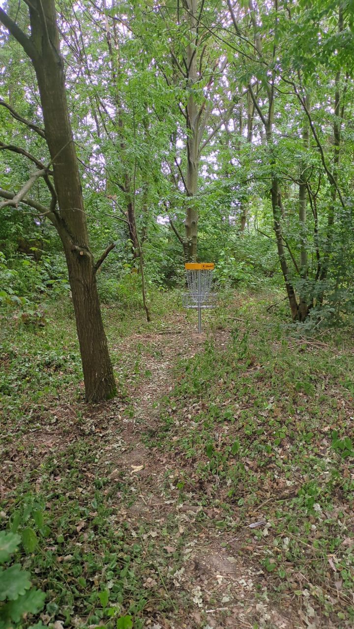 Borsdorf Disc Golf - Your Guide to Disc Golf in Borsdorf, Germany | UDisc