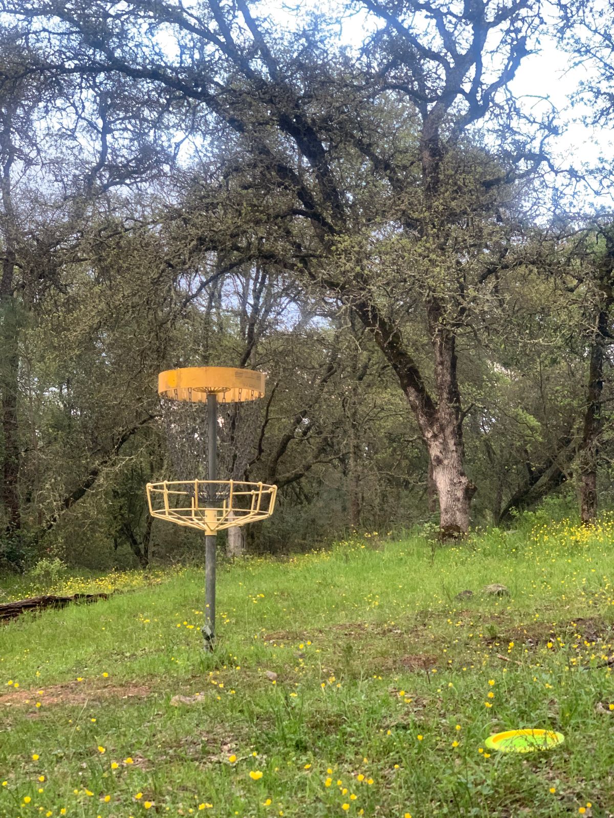 Hammon Grove Park - Browns Valley, California | UDisc Disc Golf Course ...