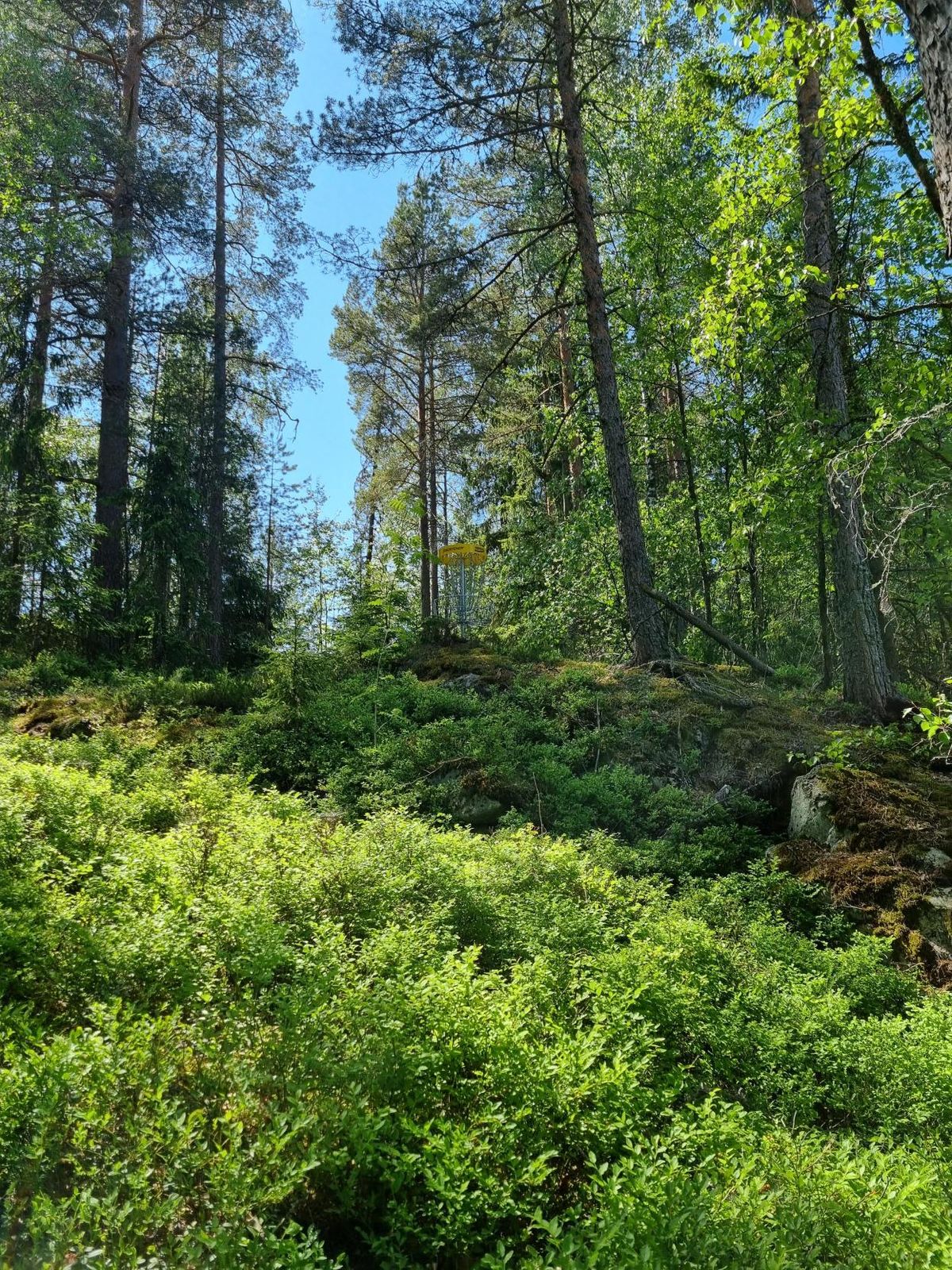 Frogn Vgs - Drøbak, Norway | UDisc Disc Golf Course Directory