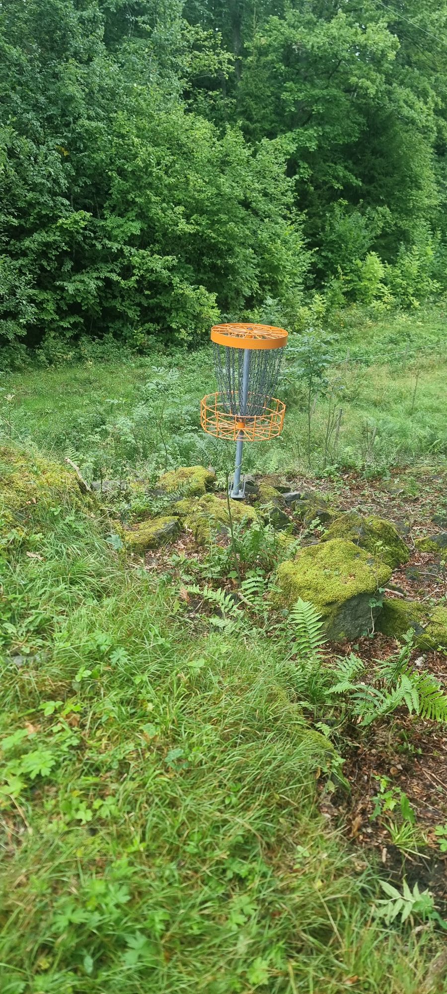 Eidsfoss Discgolfbane - Hof, Norway | UDisc Disc Golf Course Directory