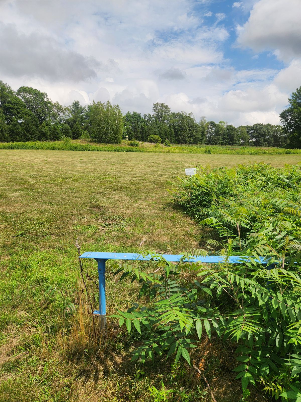 Anna Maria College - Paxton, Massachusetts | UDisc Disc Golf Course ...