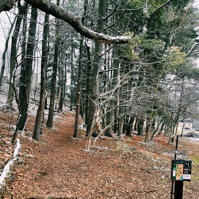 Camp Olympic Park - Emmaus, PA | UDisc Disc Golf Course Directory