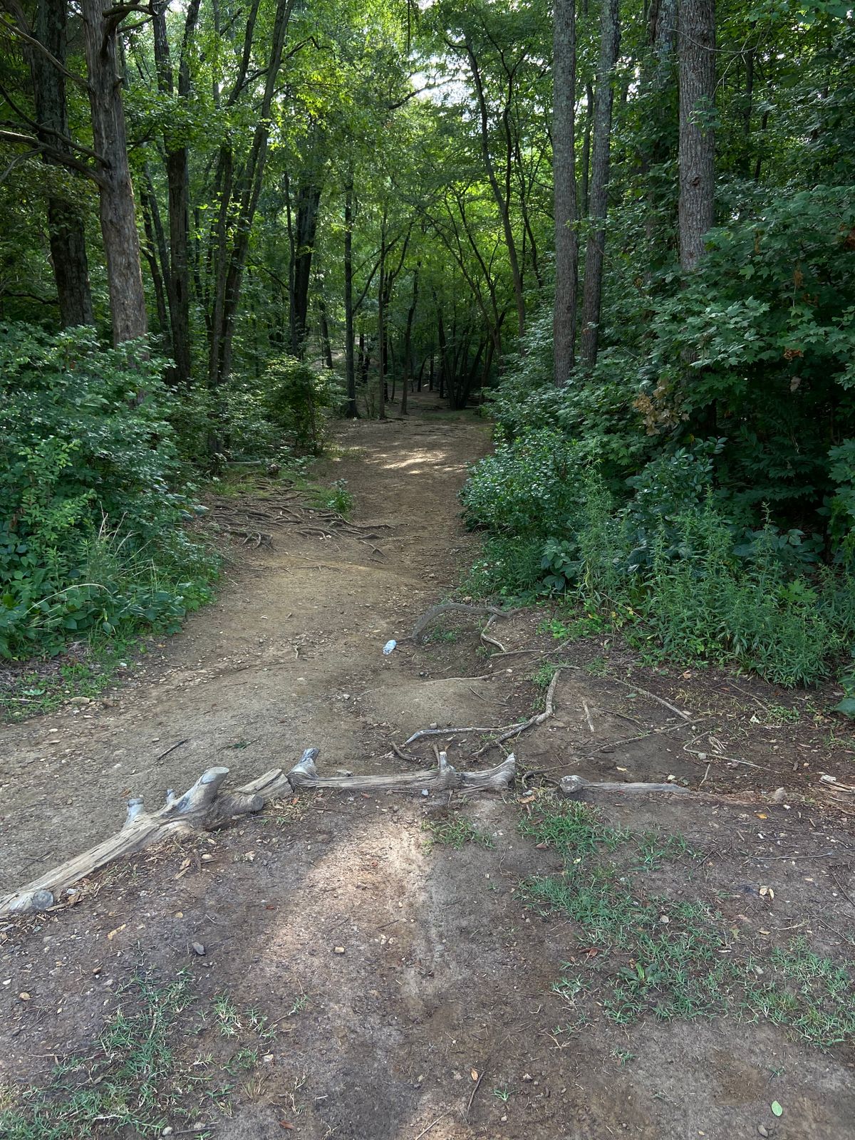 Johnson Street Disc Golf Park - High Point, North Carolina | UDisc Disc ...